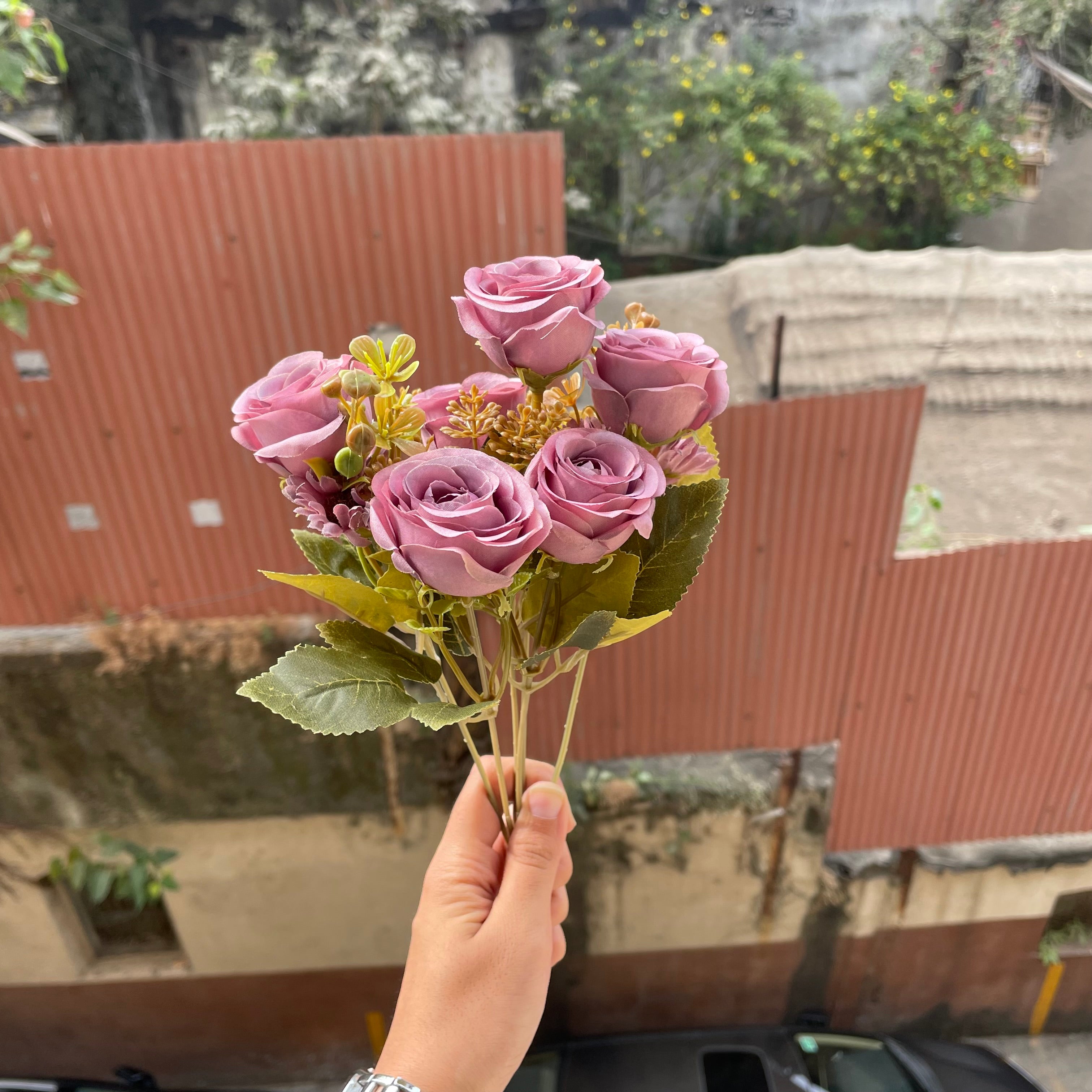 Daisy Rose Bunch – Arife.Aesthetics