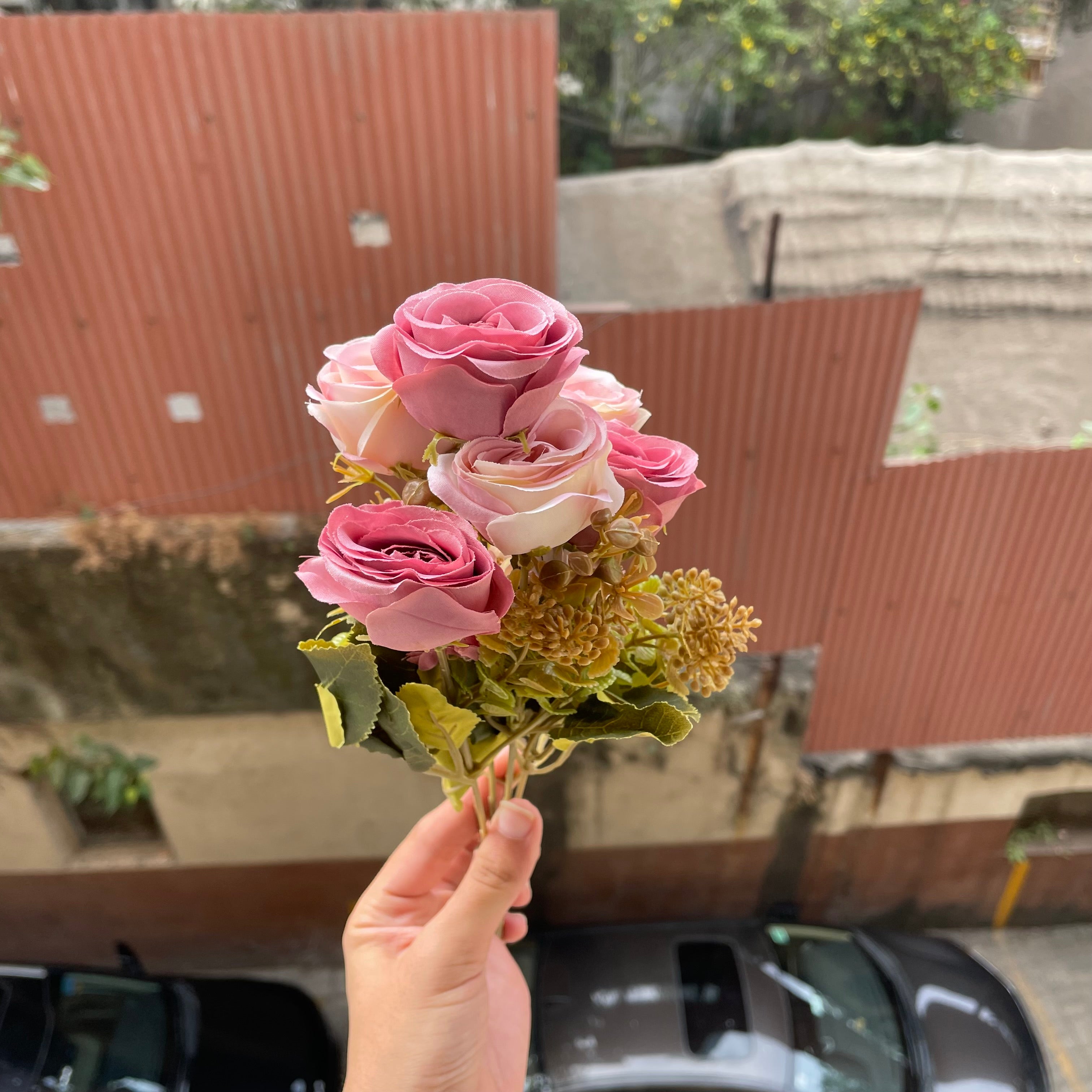 Daisy Rose Bunch – Arife.Aesthetics